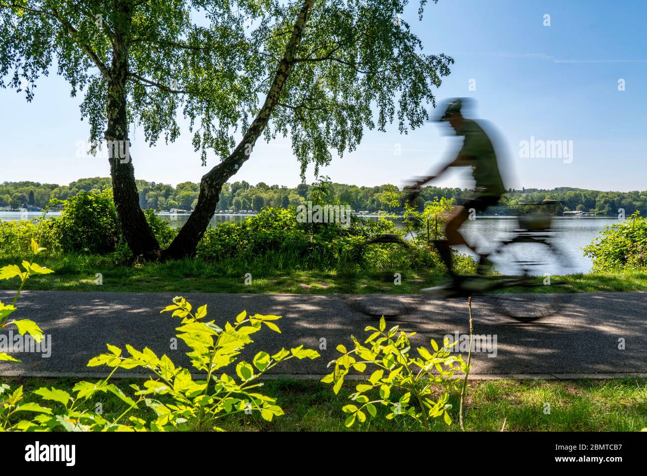 Cycling on the river Ruhr, lakeside path at Lake Baldeney in Essen, NRW ...