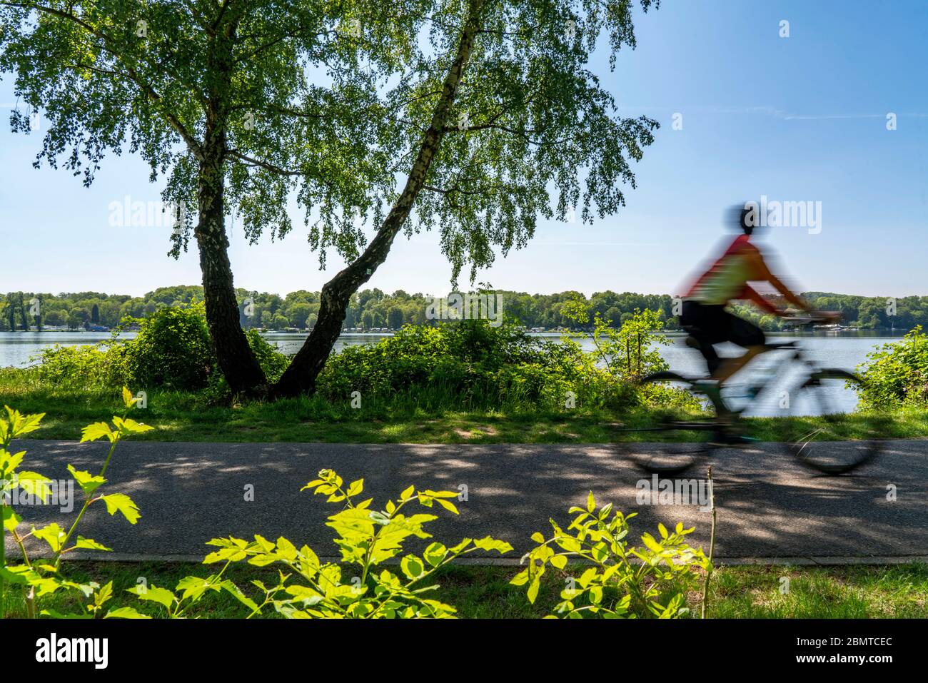 Cycling on the river Ruhr, lakeside path at Lake Baldeney in Essen, NRW ...