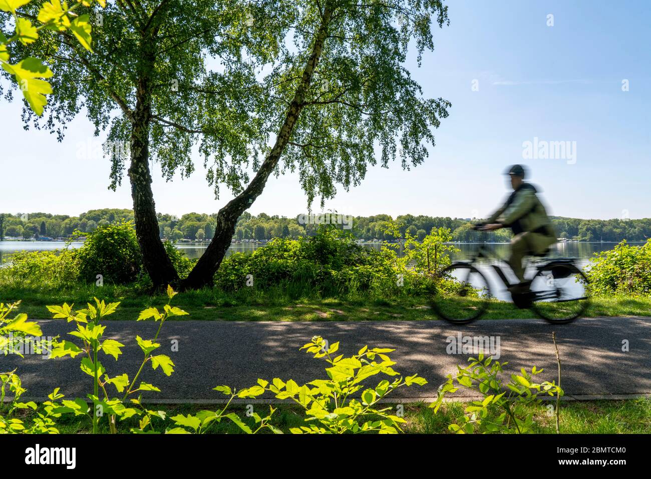 Cycling on the river Ruhr, lakeside path at Lake Baldeney in Essen, NRW ...