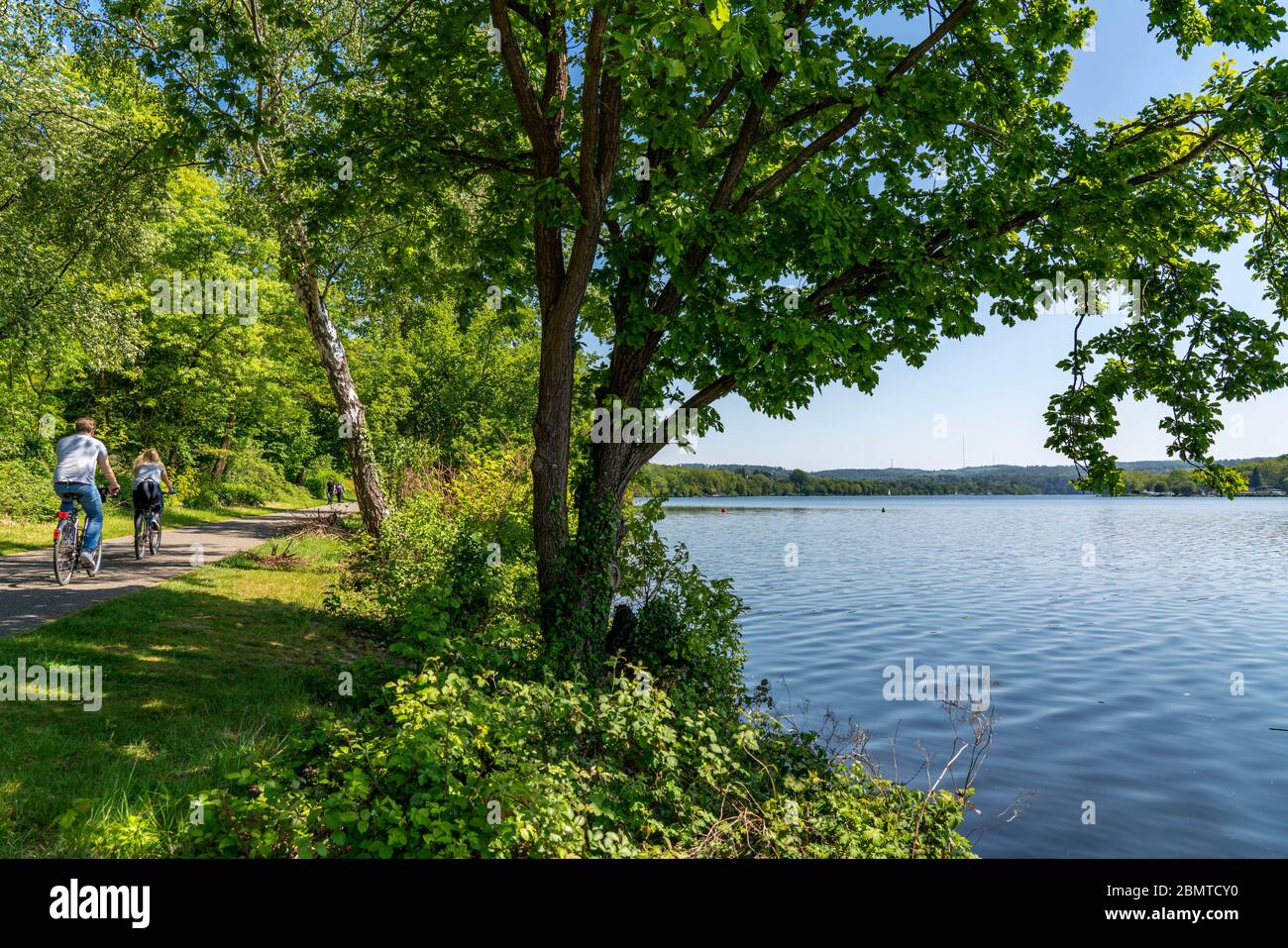 Cycling on the river Ruhr, lakeside path at Lake Baldeney in Essen, NRW ...