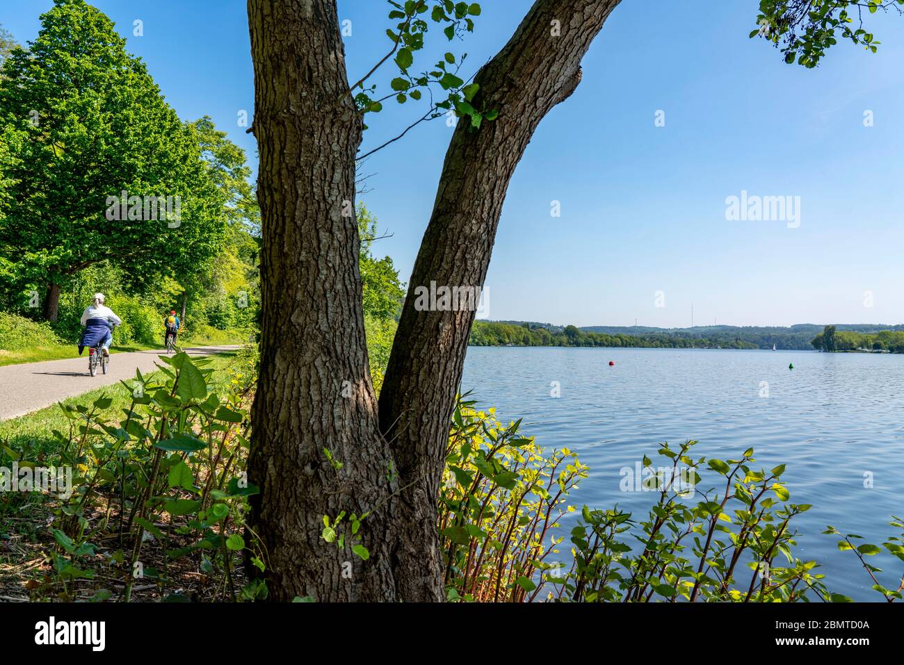 Cycling on the river Ruhr, lakeside path at Lake Baldeney in Essen, NRW ...