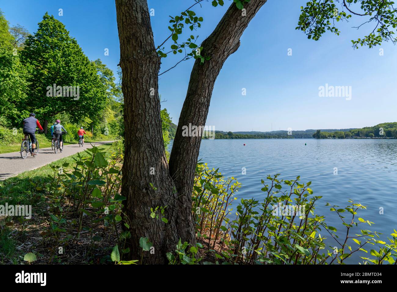 Cycling on the river Ruhr, lakeside path at Lake Baldeney in Essen, NRW ...