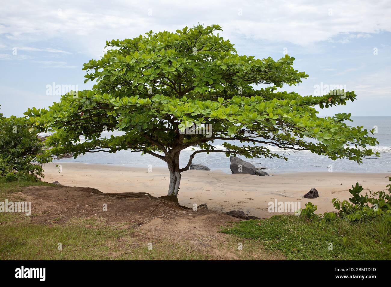 Village life cameroon africa hi-res stock photography and images - Alamy