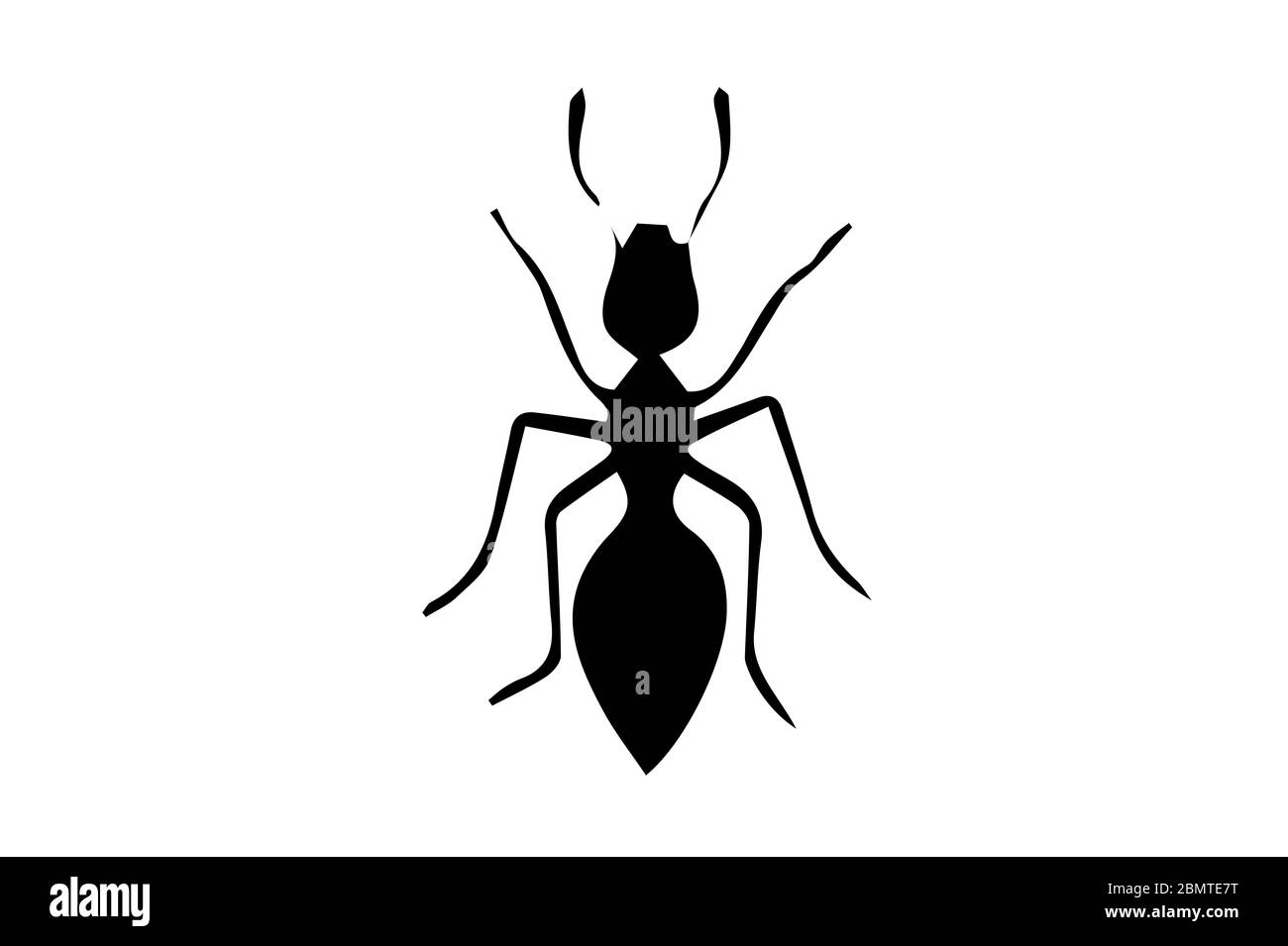 Silhouette of insect on leaf Cut Out Stock Images & Pictures - Alamy