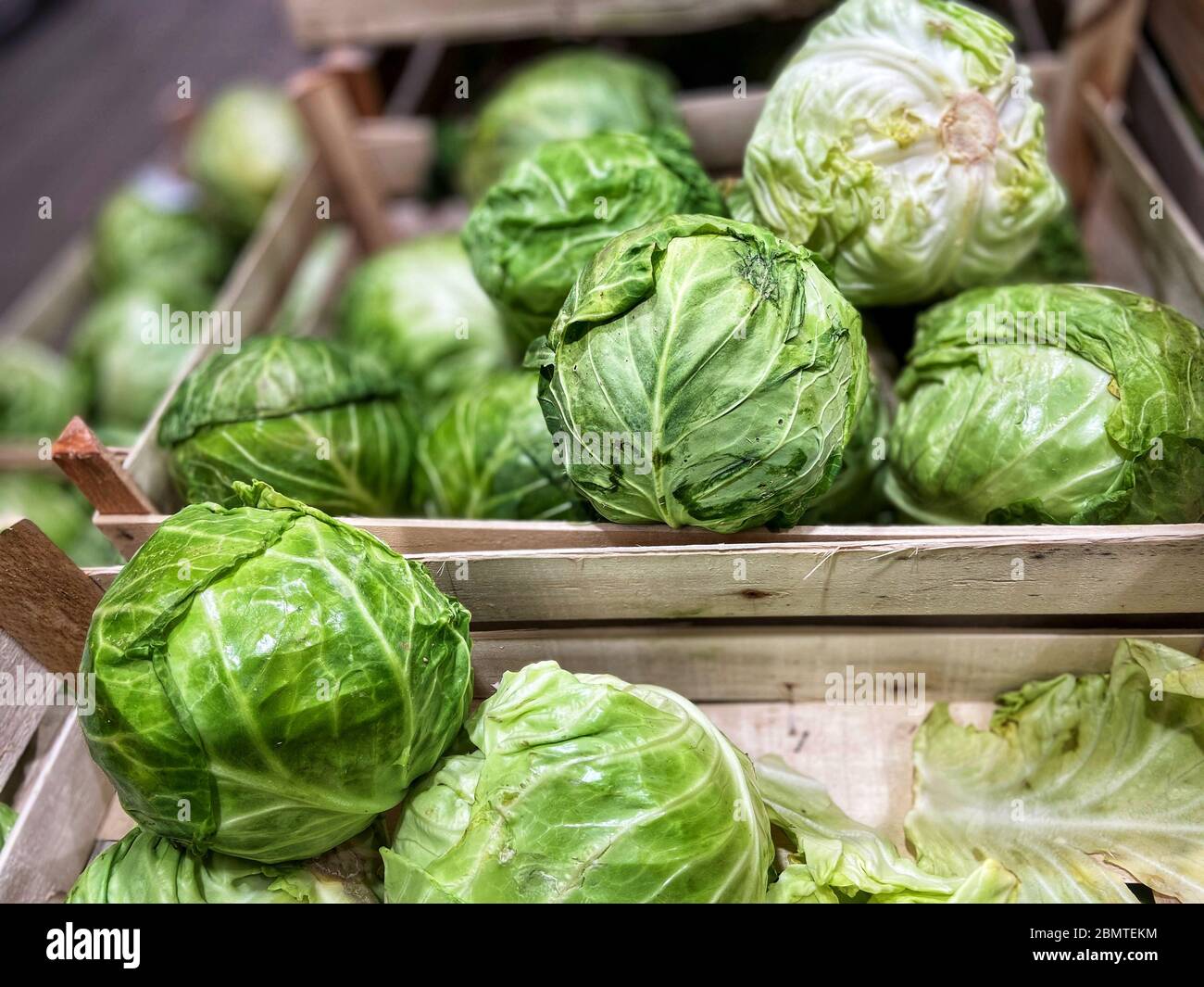 White cabbage in a tray in a supermarket. A close-up. Mobile photo ...