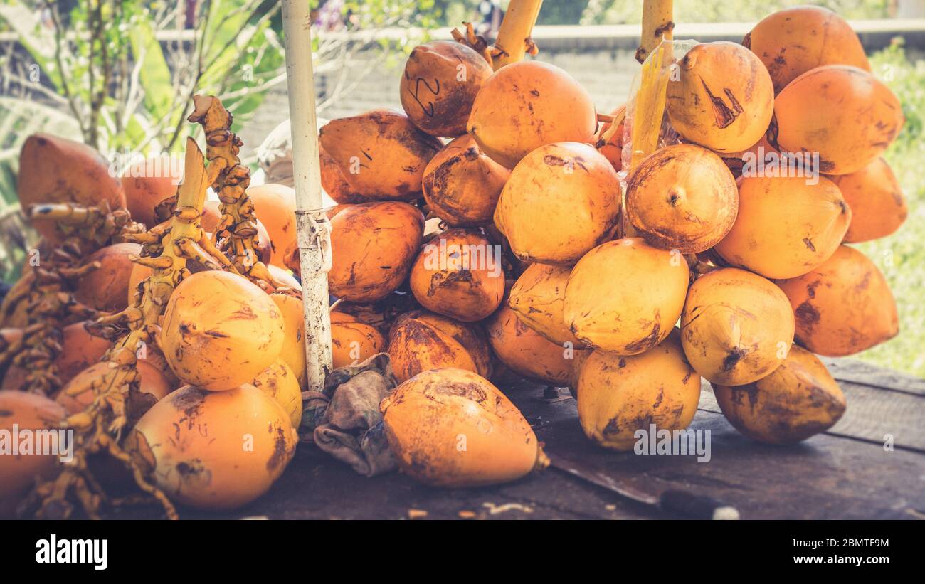 King coconut tree hi-res stock photography and images - Alamy