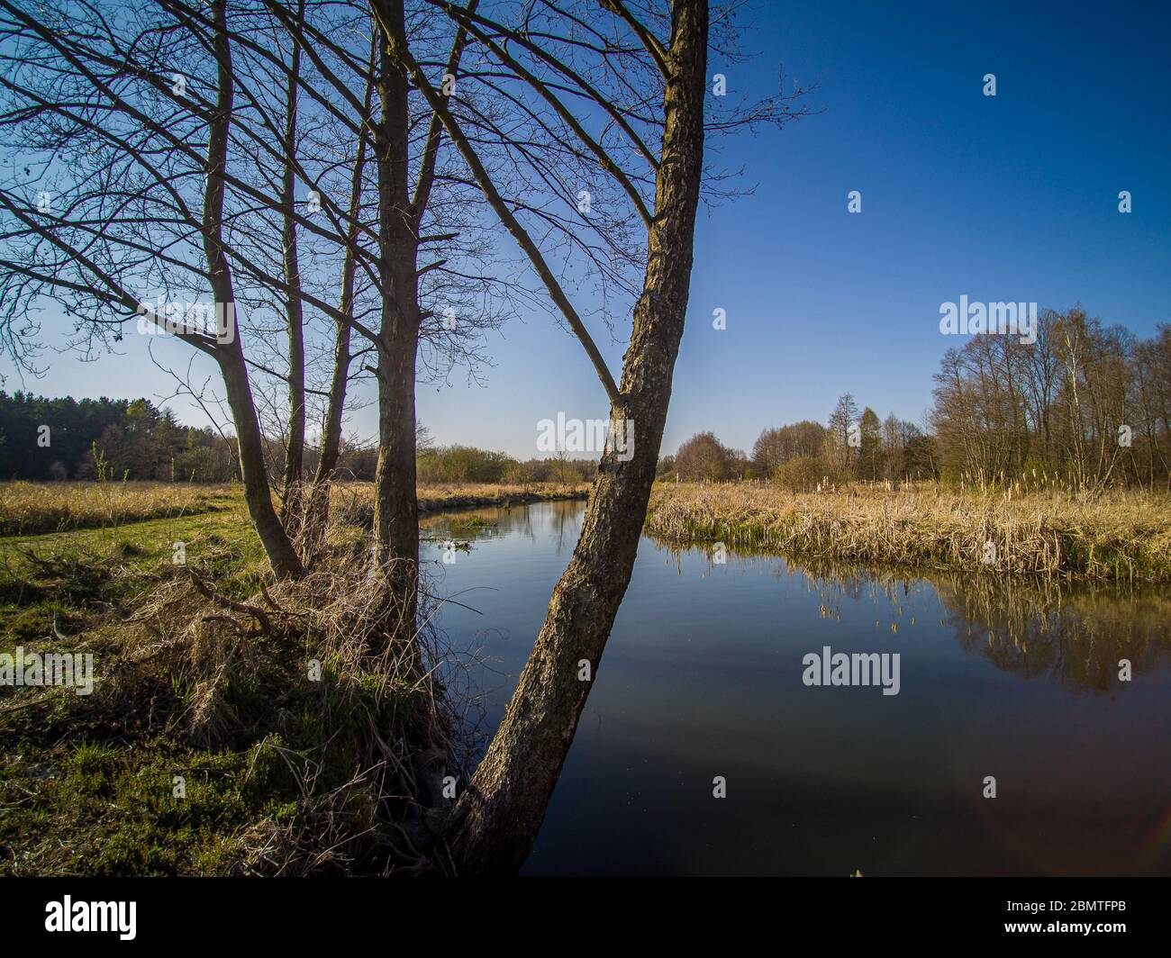 River grabia hi-res stock photography and images - Alamy