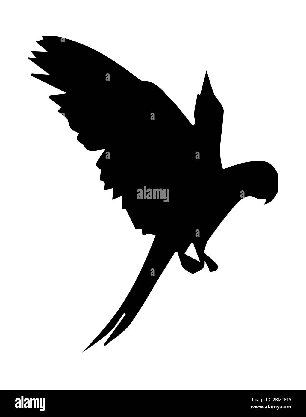Macaw silhouette Cut Out Stock Images & Pictures - Alamy