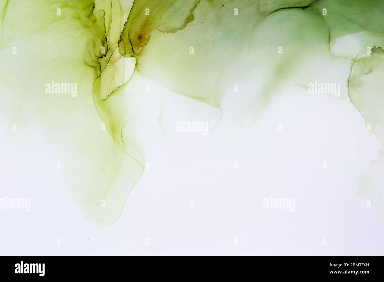 Green alcohol ink abstract background. Ethereal painting. Hand painted ...