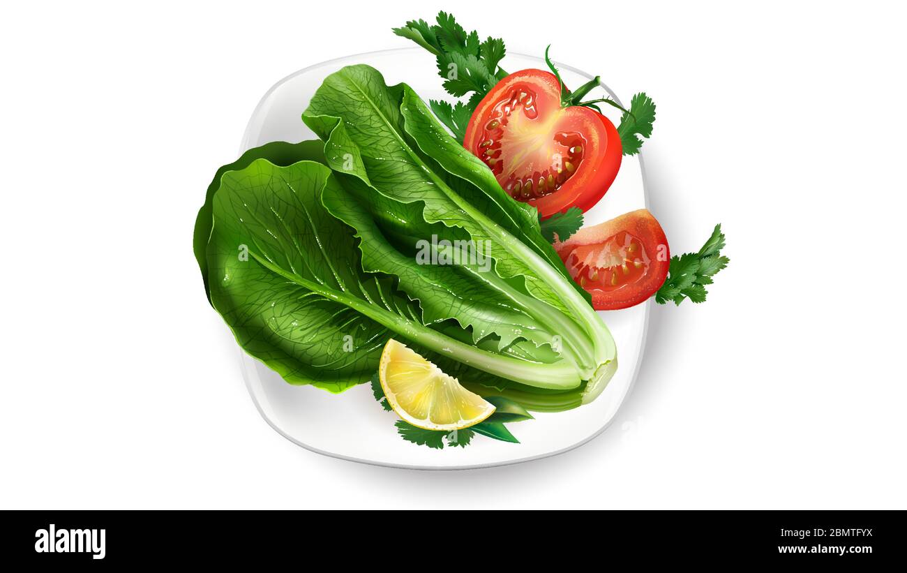 Composition tomato leaves Cut Out Stock Images & Pictures - Alamy
