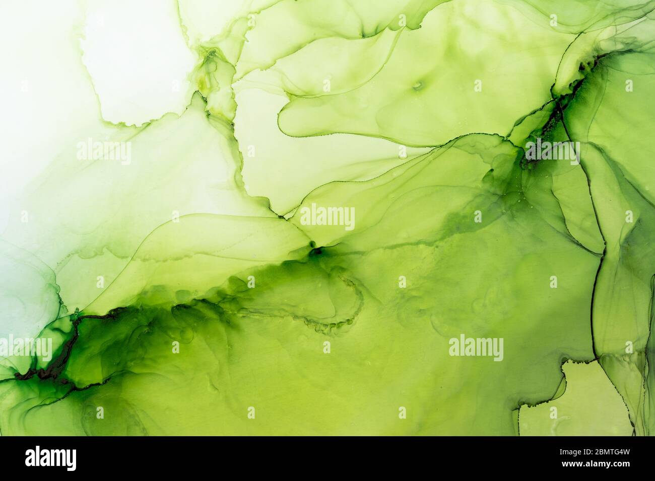 Vibrant Green alcohol ink abstract background. Fresh Lime ethereal ...