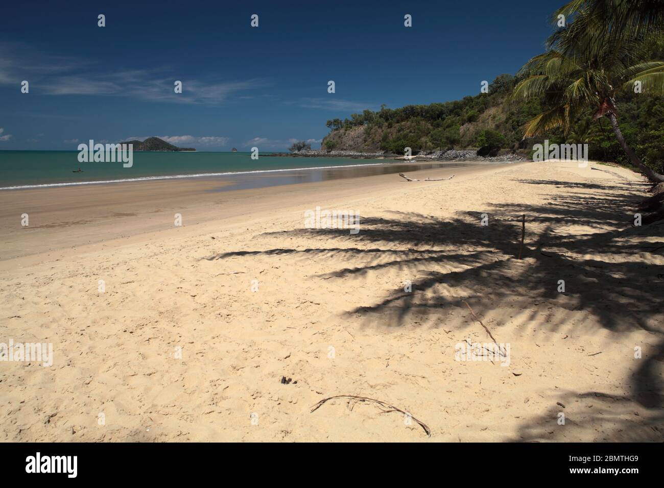Sandy beach with palm trees in Australia Stock Photo - Alamy