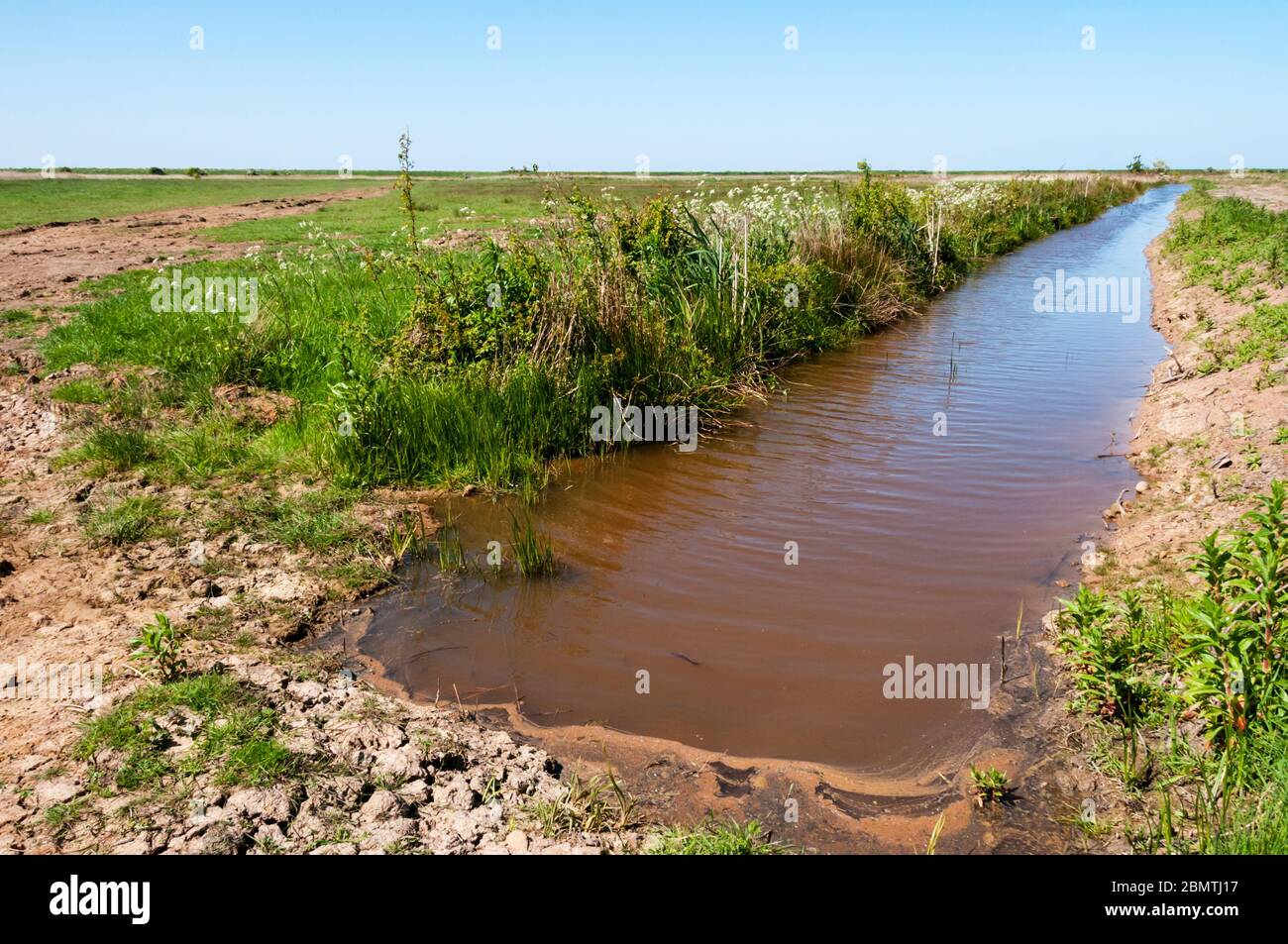 Drainage ditch on reclaimed wetlands on the east shores of The Wash in ...