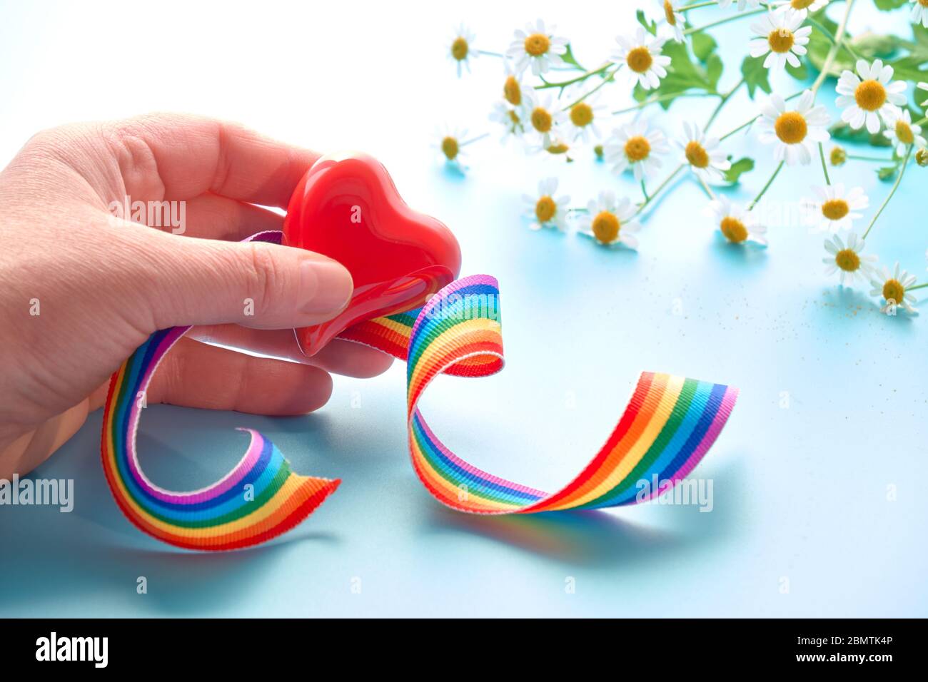 Red heart and curled rainbow ribbon in adult female hand. Camomile ...
