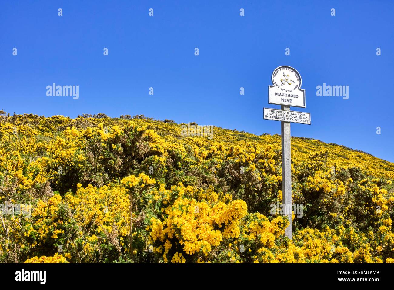 Manx national hi-res stock photography and images - Alamy