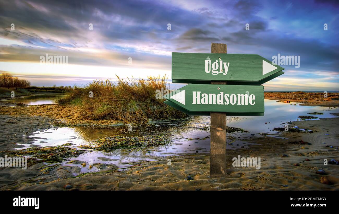 Street Sign the Direction Way to Handsome versus Ugly Stock Photo - Alamy