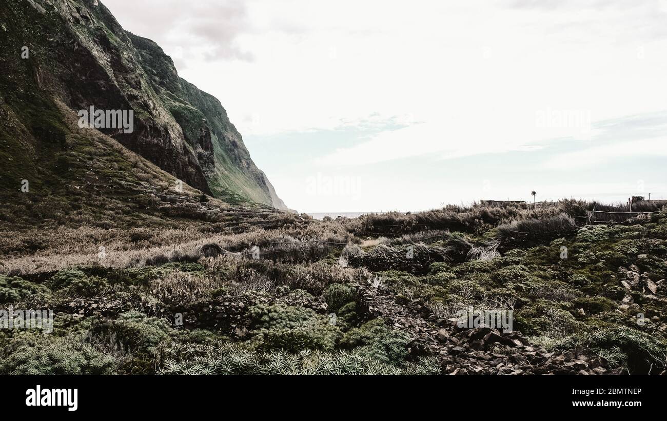 Overgrown vegetation wild hi-res stock photography and images - Alamy