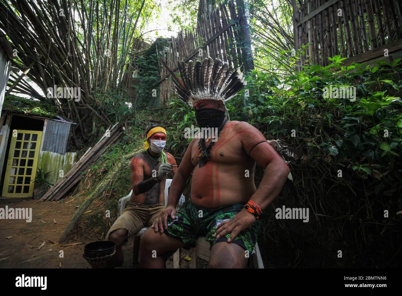 Satere mawe hi-res stock photography and images - Alamy