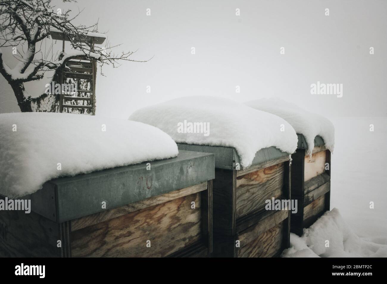 Hives covered in snow hi-res stock photography and images - Alamy