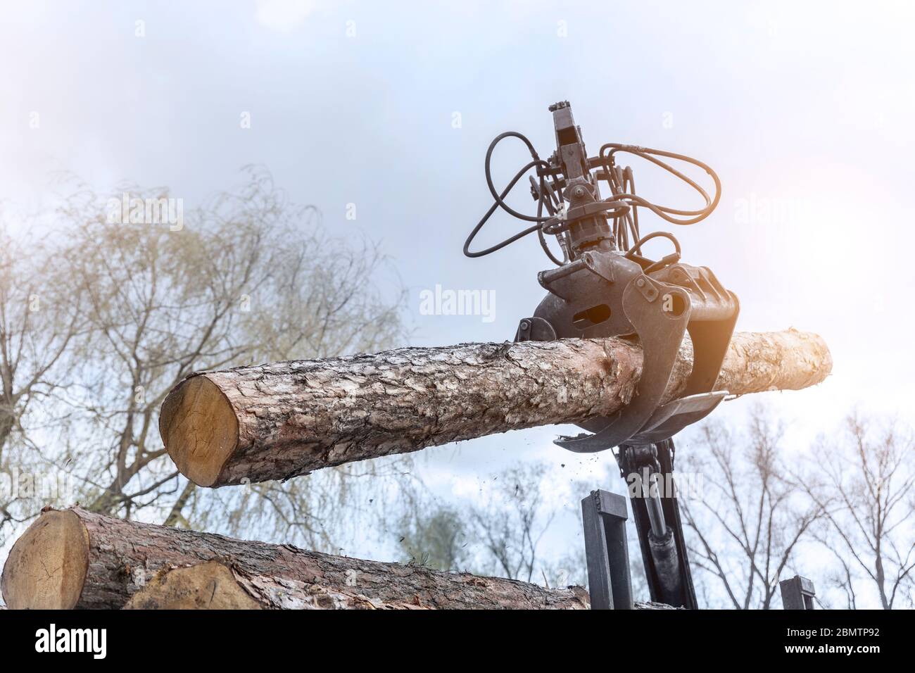 Lumber carrying crane hi-res stock photography and images - Alamy