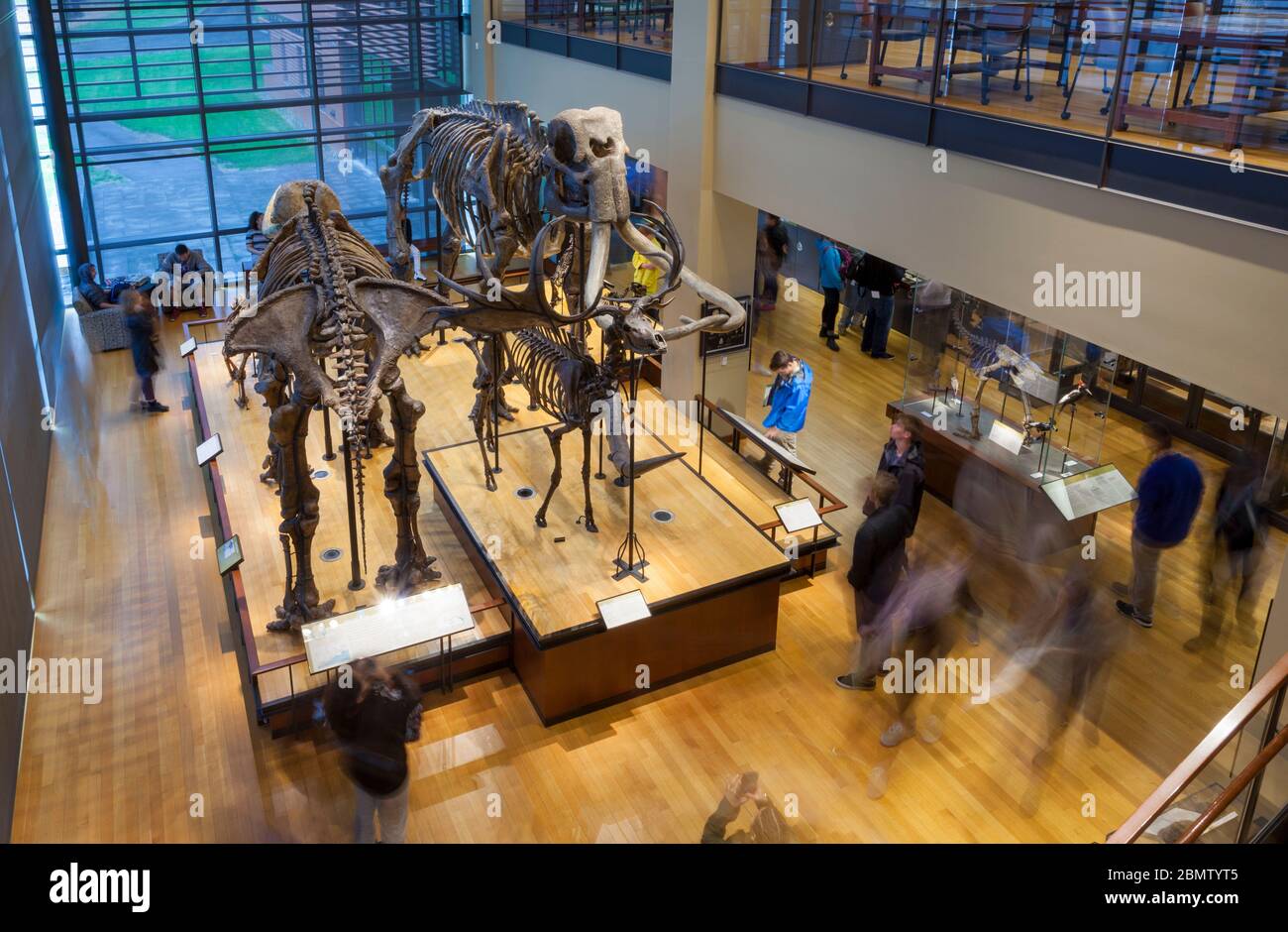 Beneski natural history museum amherst college hi-res stock photography ...