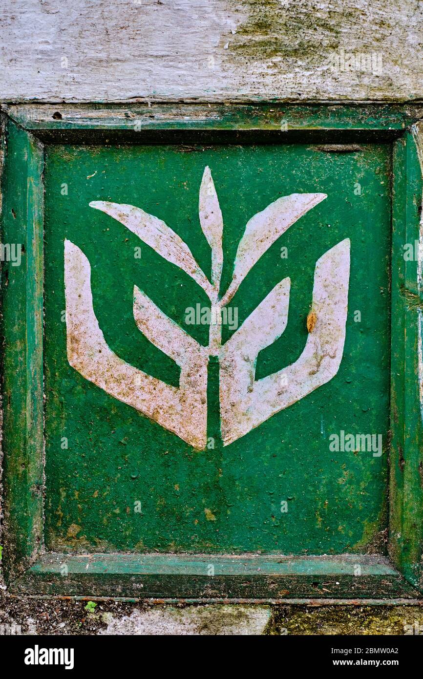 India, West Bengal, Darjeeling, Castleton tea estate Stock Photo - Alamy