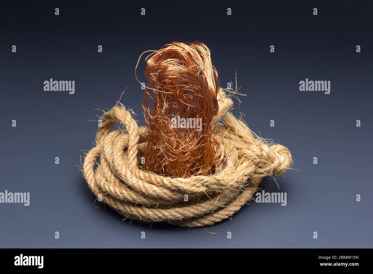 Copper filaments, small transmitting wires and carriers of electric ...