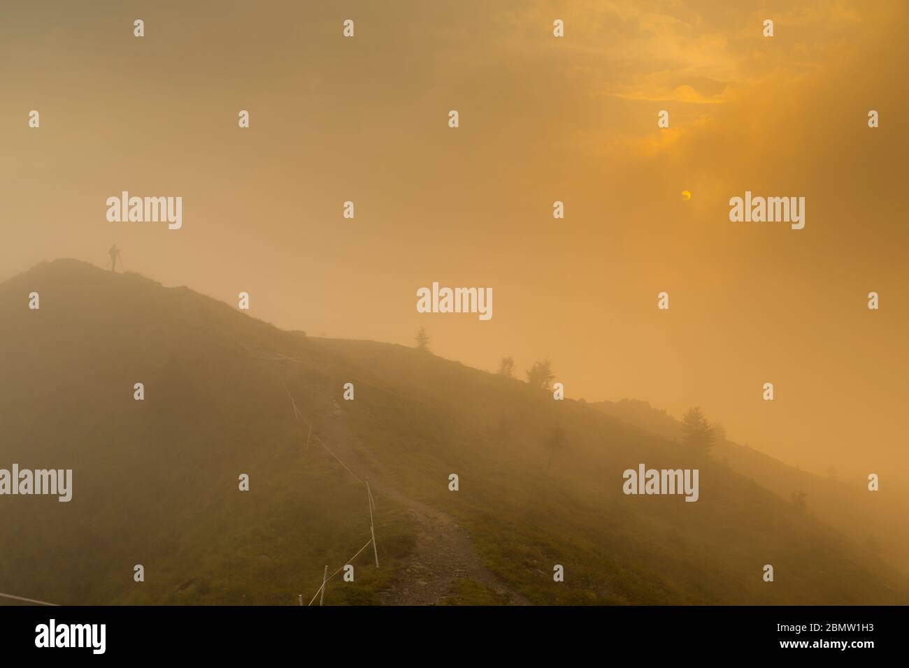 Photographer pass hi-res stock photography and images - Alamy