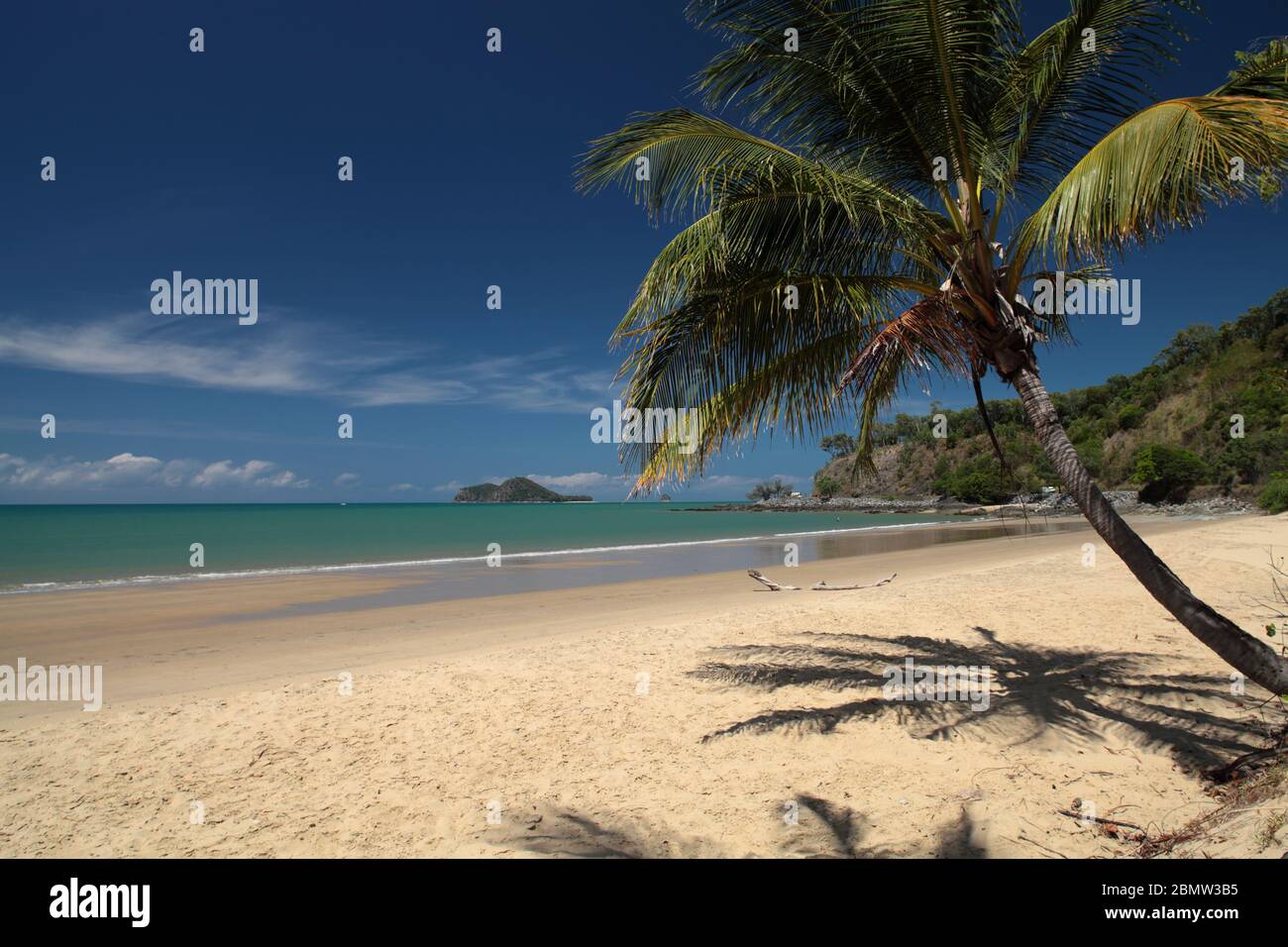 Palm trees on a beach in Australia Stock Photo - Alamy