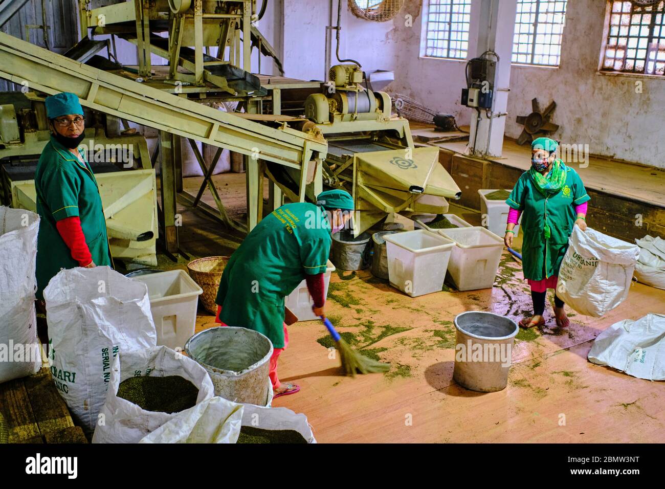 Makaibari tea garden hi-res stock photography and images - Alamy