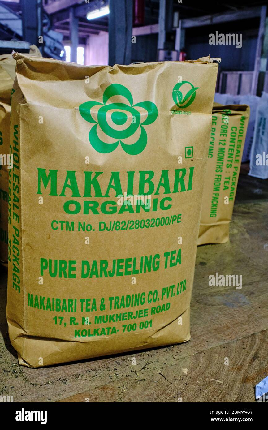 India, West Bengal, Darjeeling, Makaibari Tea Estates Factory Stock ...