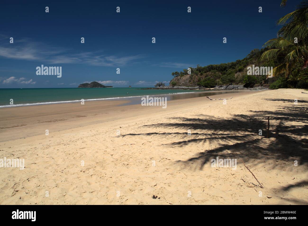 Palm trees on a beach in Australia Stock Photo - Alamy