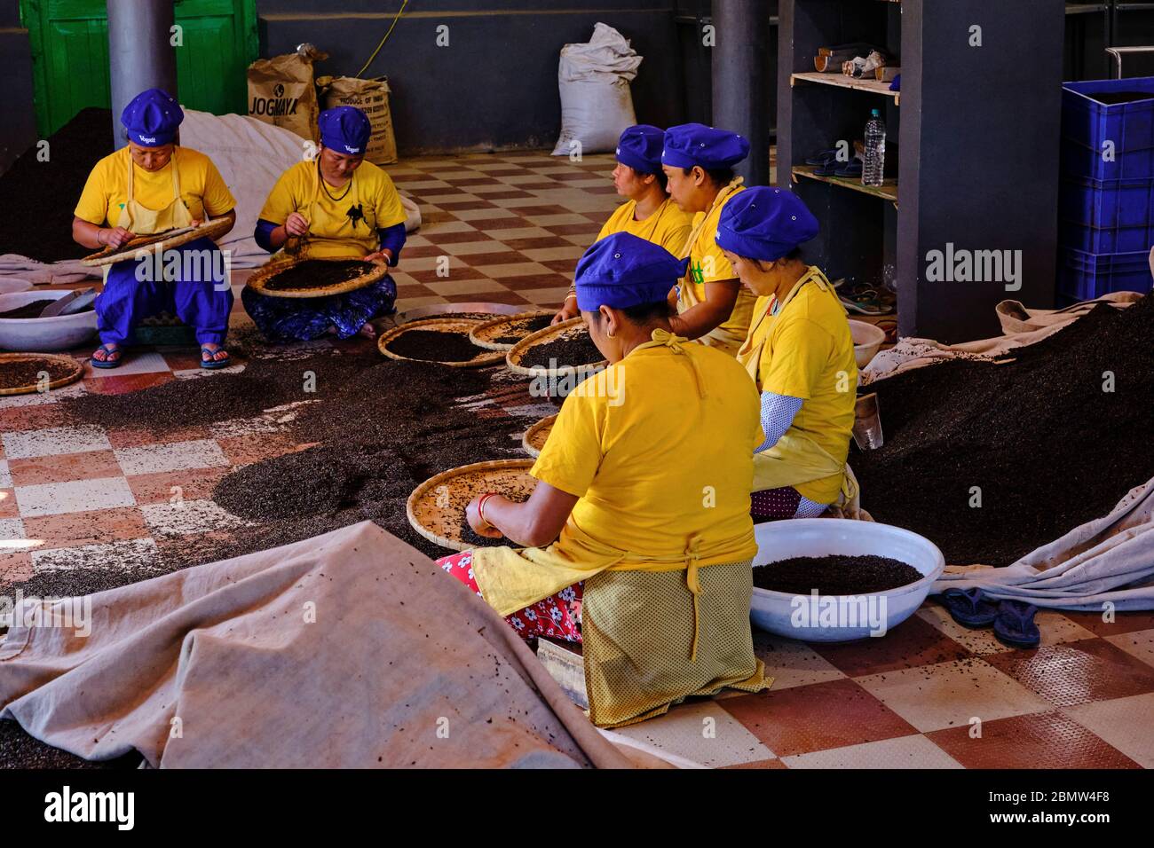 India, West Bengal, Darjeeling, Jogmaya Tea Estates Factory Stock Photo ...