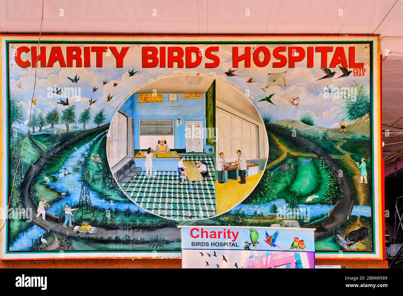 India, Delhi, New Delhi, Chawri Bazar district, Charity Bird Hospital ...