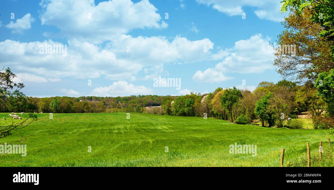 a view of the french countryside at summer time Stock Photo - Alamy
