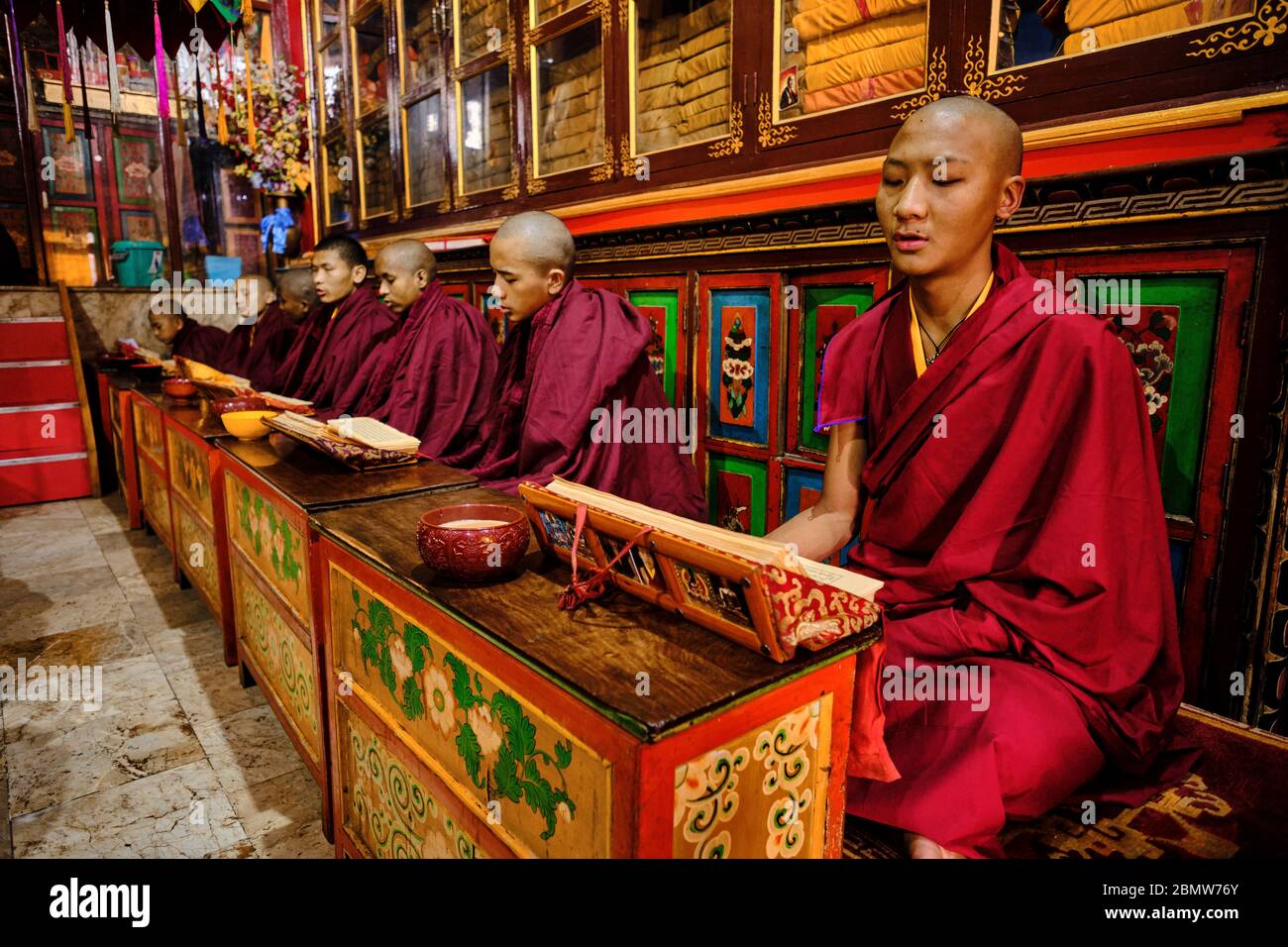 Nepal, Kathmandu valley, Bodnath village, Tsechen Shedup Ling Sakya ...