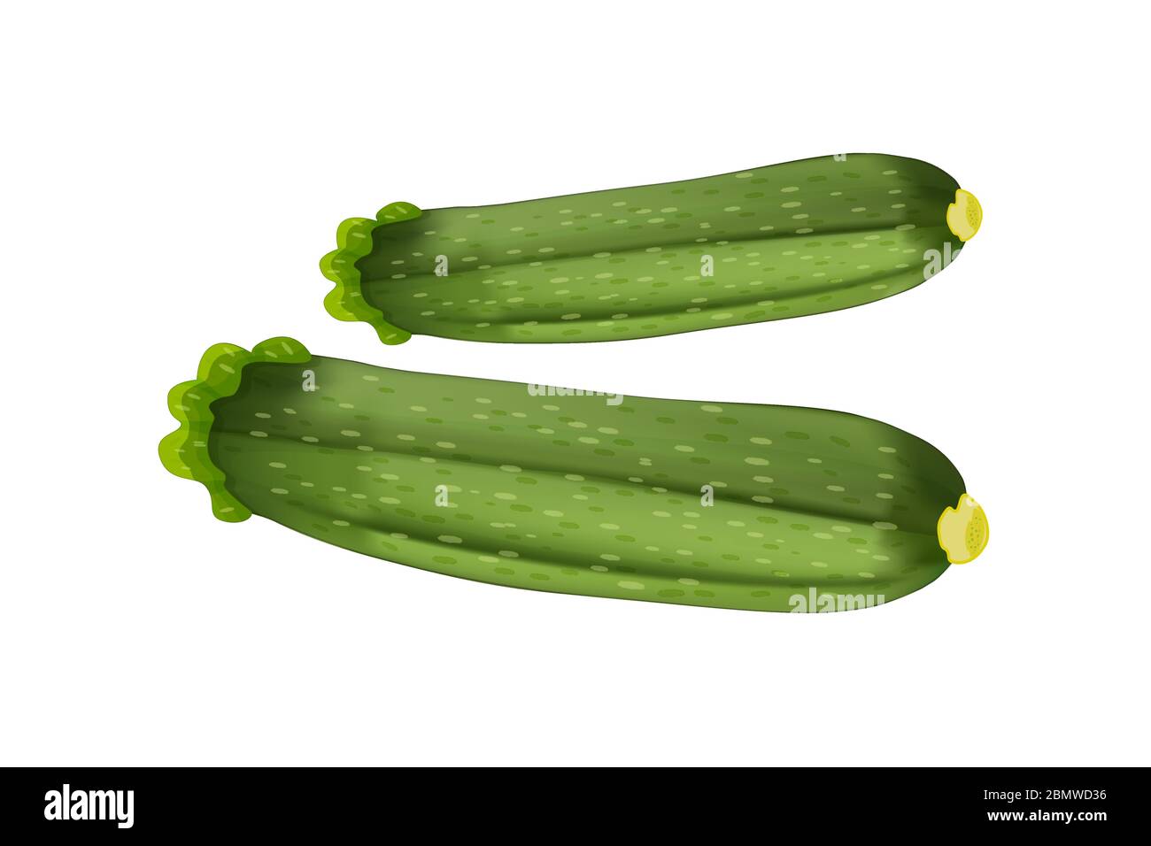 Oblong vector vectors hi-res stock photography and images - Alamy