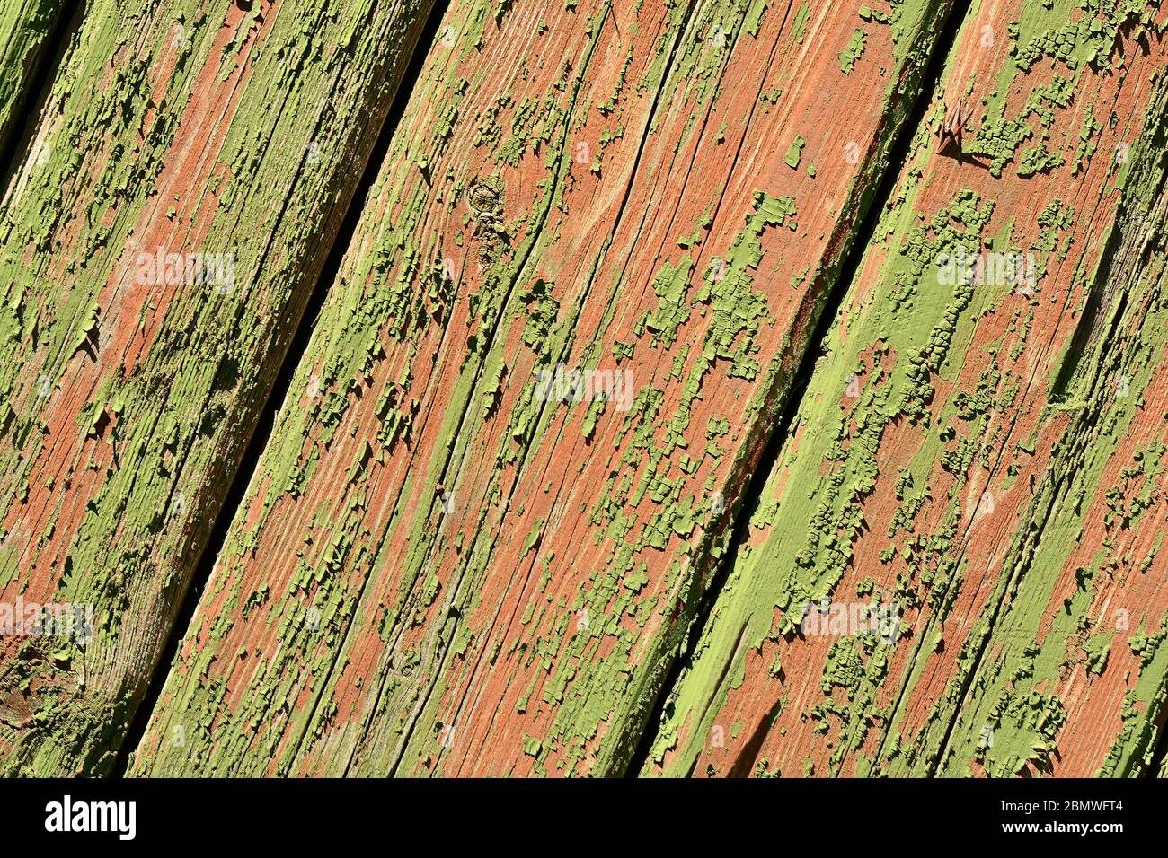 Natural green wood texture with an array of knots and ring lines Stock ...