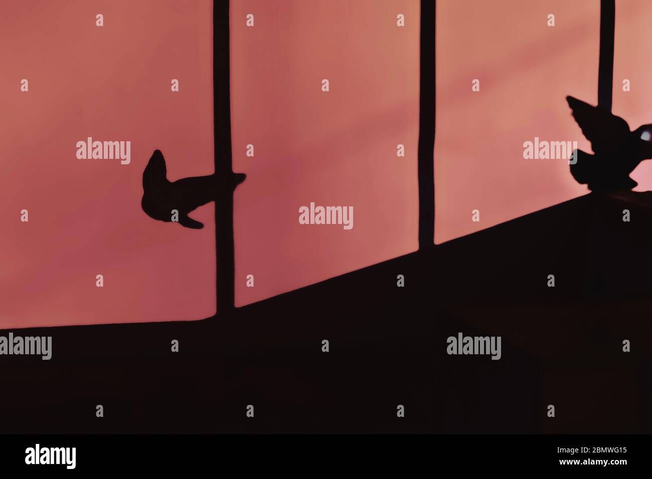 Abstract shadow silhouette of two doves from sunbeam on wall during ...