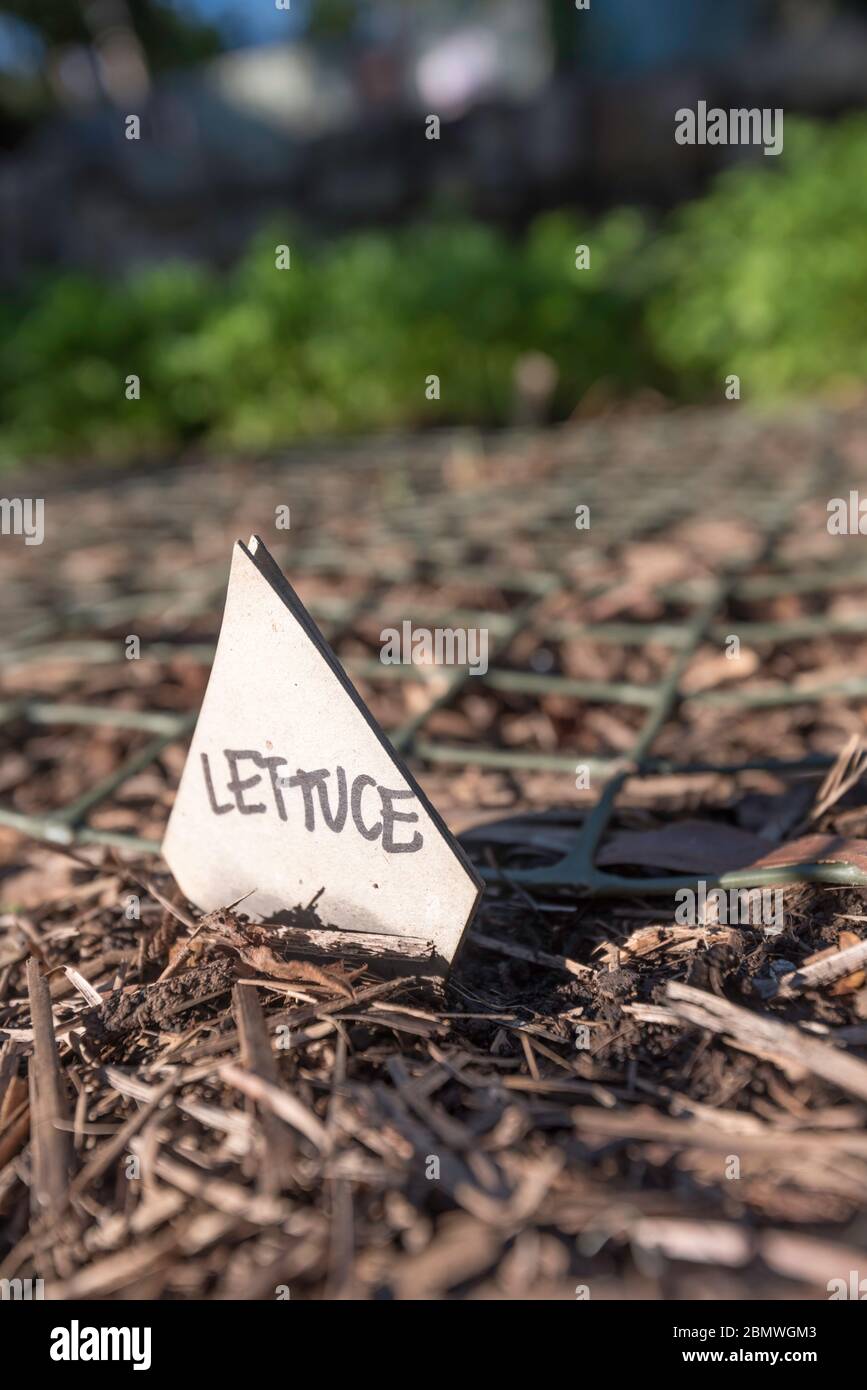 Close up of a hand written small sign in a Sydney, Australia, vegetable ...