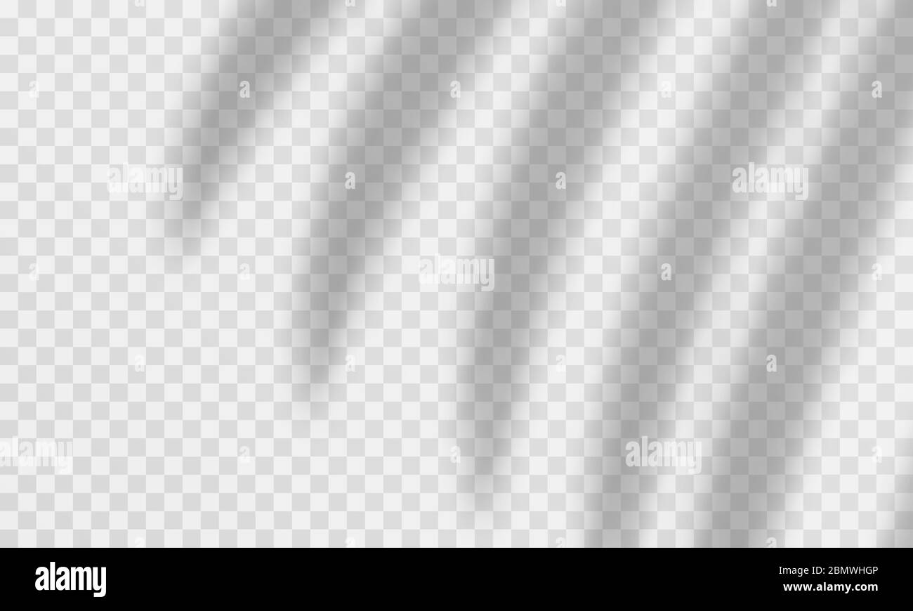 Palm shadow transparent effect. Vector transparent palm leaves overlay ...