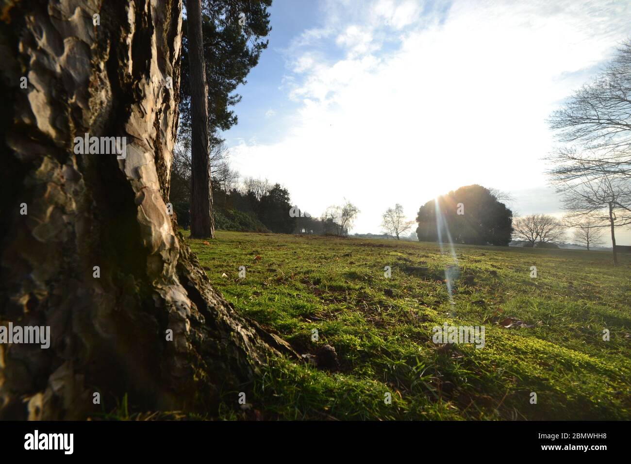 Dazzling sunlight. Woodbridge, Suffolk, UK Stock Photo - Alamy