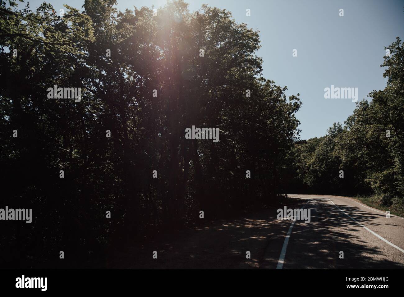 landscape is expensive near the forest and sky Stock Photo - Alamy