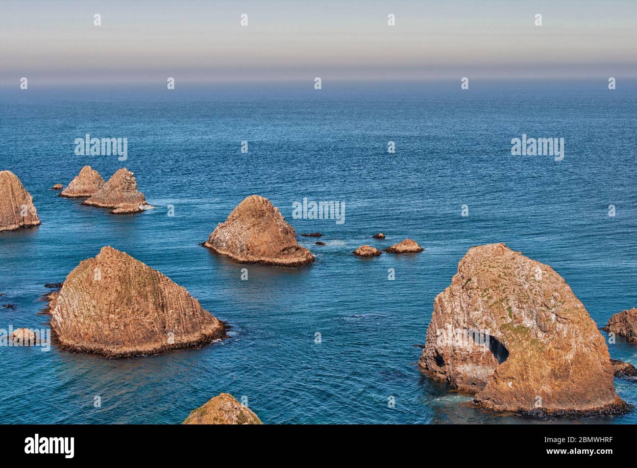 Nugget Point, Catlins Coast, New Zealand The 47 hectare Department of ...