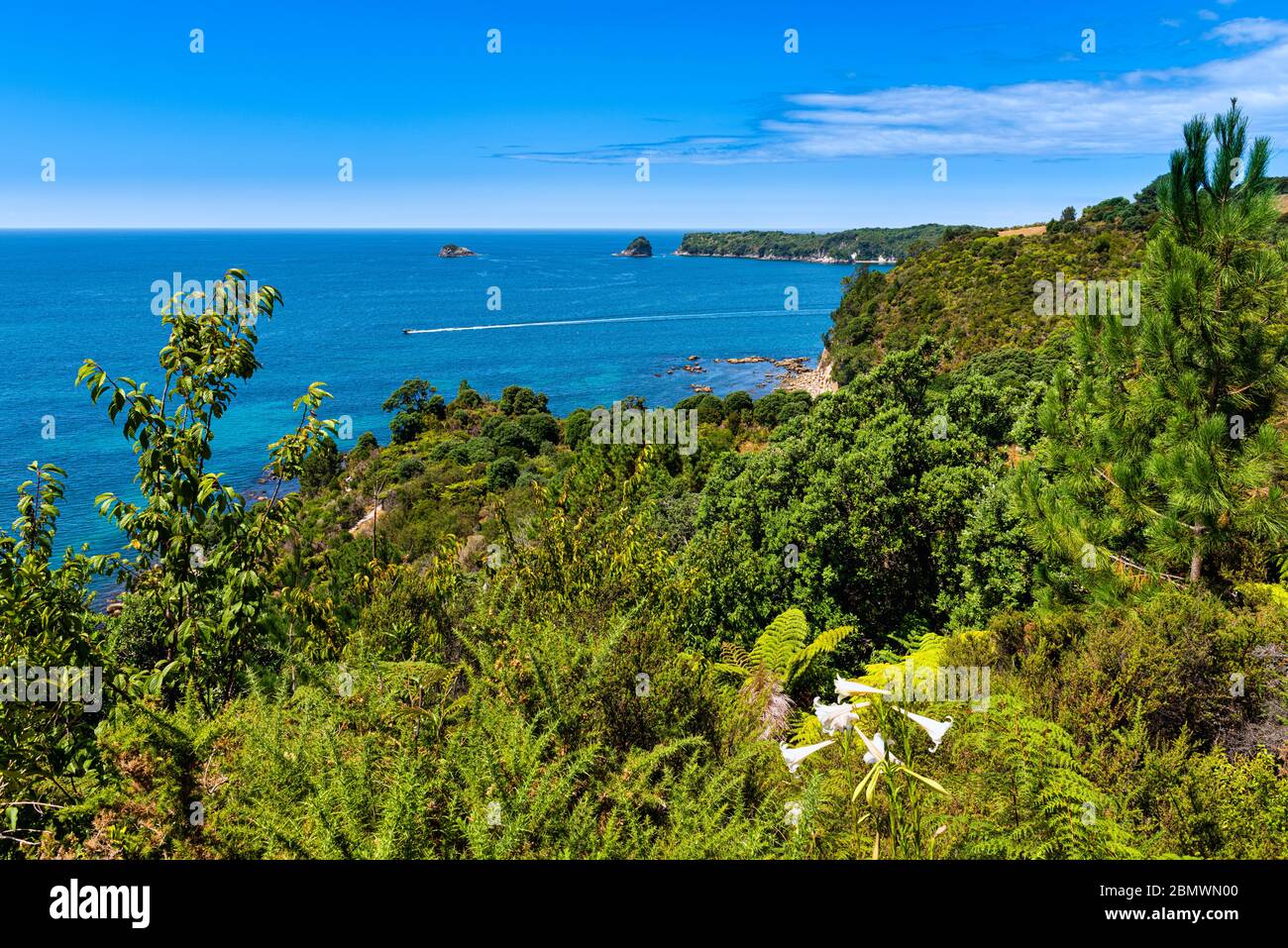 View of Gemstone Bay while walking to Cathedral Cove in New Zealand ...