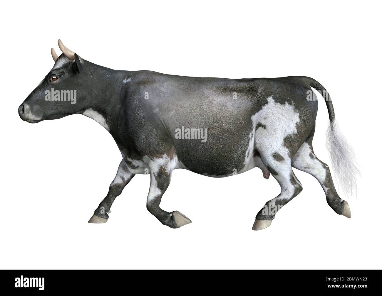 3D rendering of a farm animal cow isolated on white background Stock ...