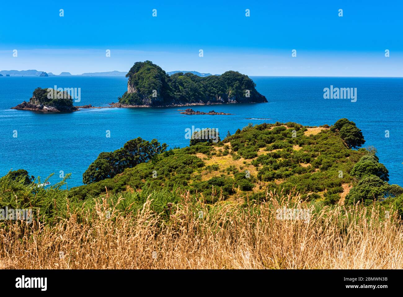 View of Gemstone Bay while walking to Cathedral Cove in New Zealand ...
