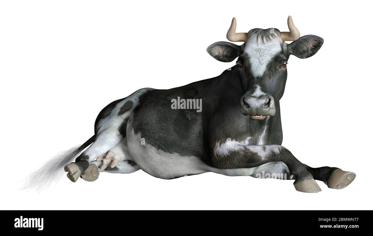 3D rendering of a farm animal cow isolated on white background Stock ...