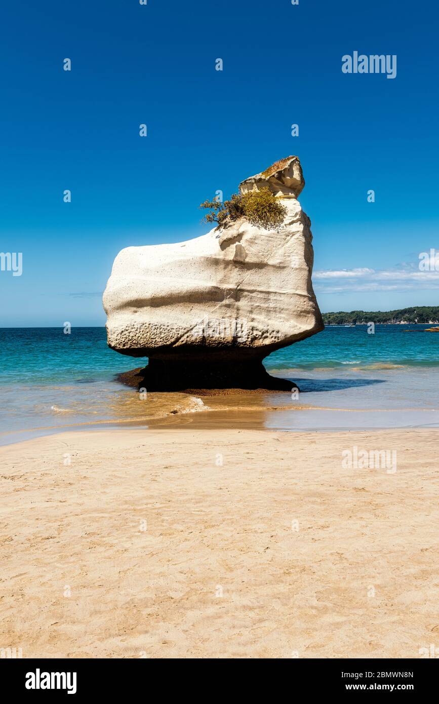 Stingray bay new zealand hi-res stock photography and images - Alamy