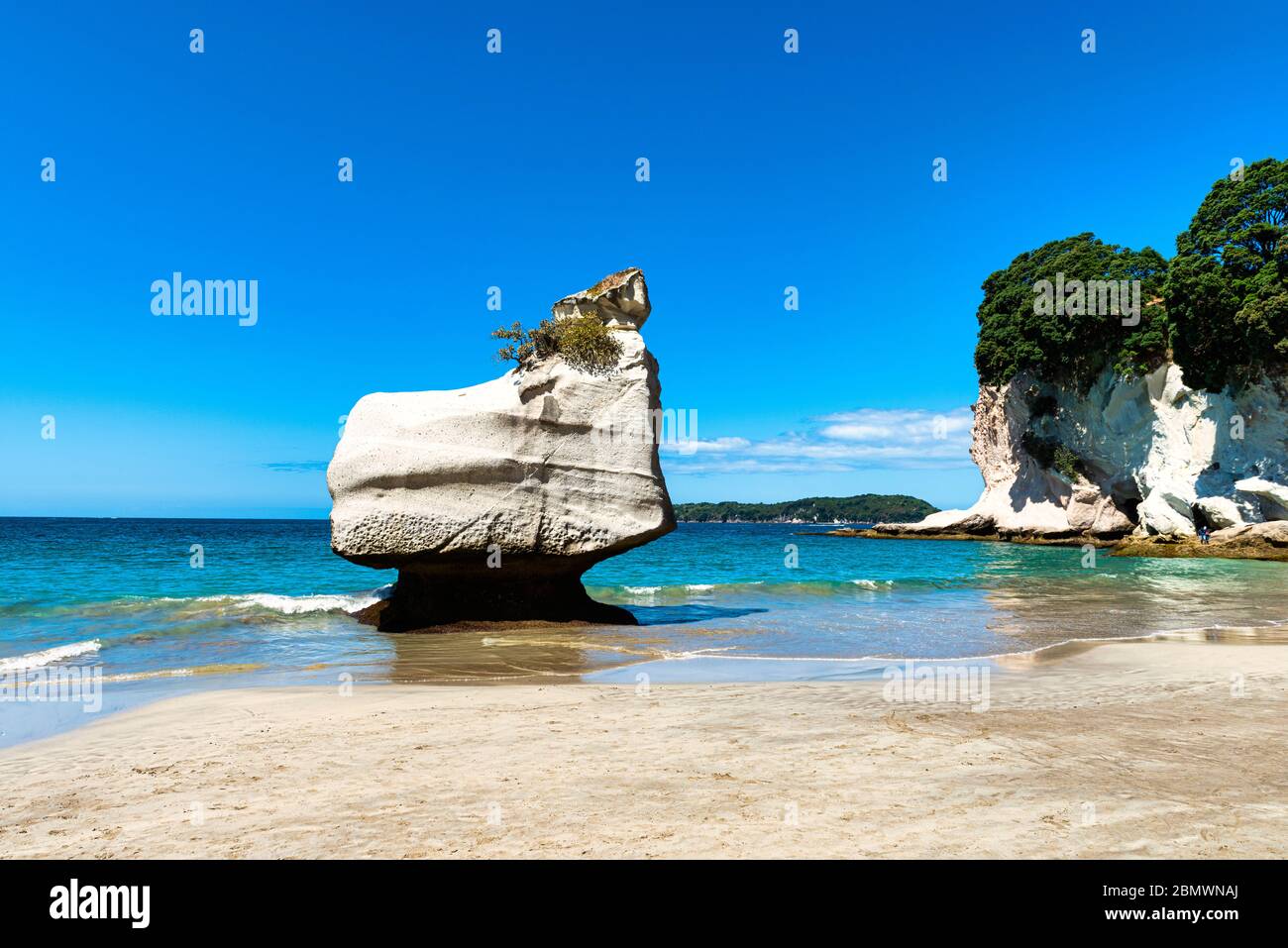 Stingray bay new zealand hi-res stock photography and images - Alamy